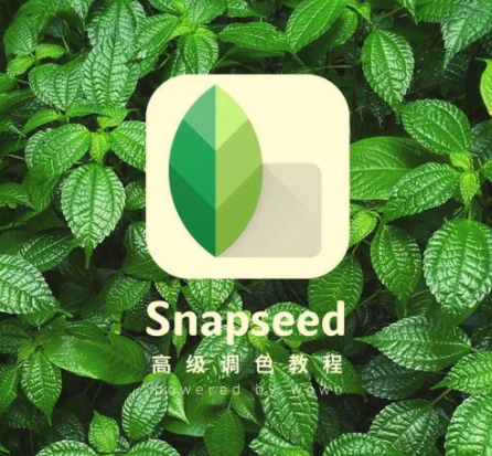 Snapseed从入门到精通，手机修图高手速成，一部手机就能修出摄影大片 -前行网